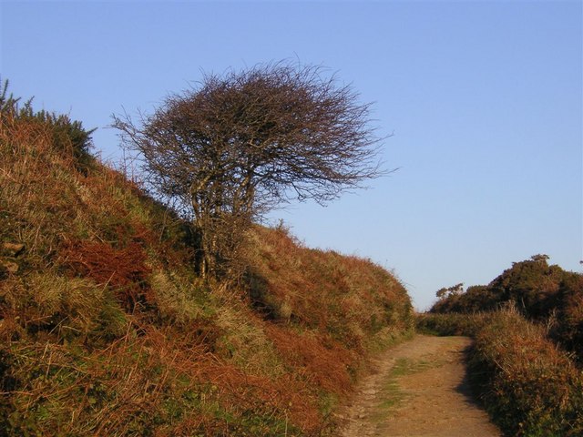 The Tinners Way – An Old Track Through Time. | T M Rowe – Writer