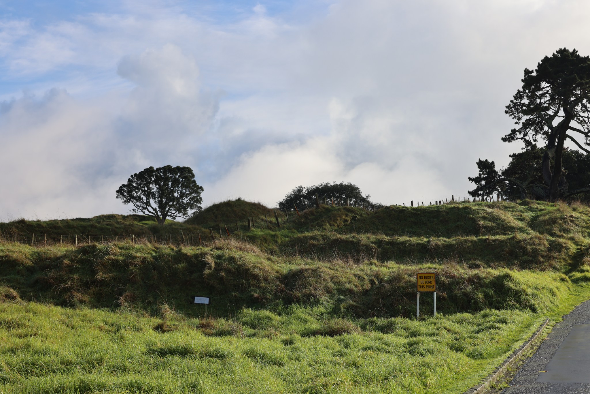 Exploring Auckland’s Maunga | T M Rowe – Writer