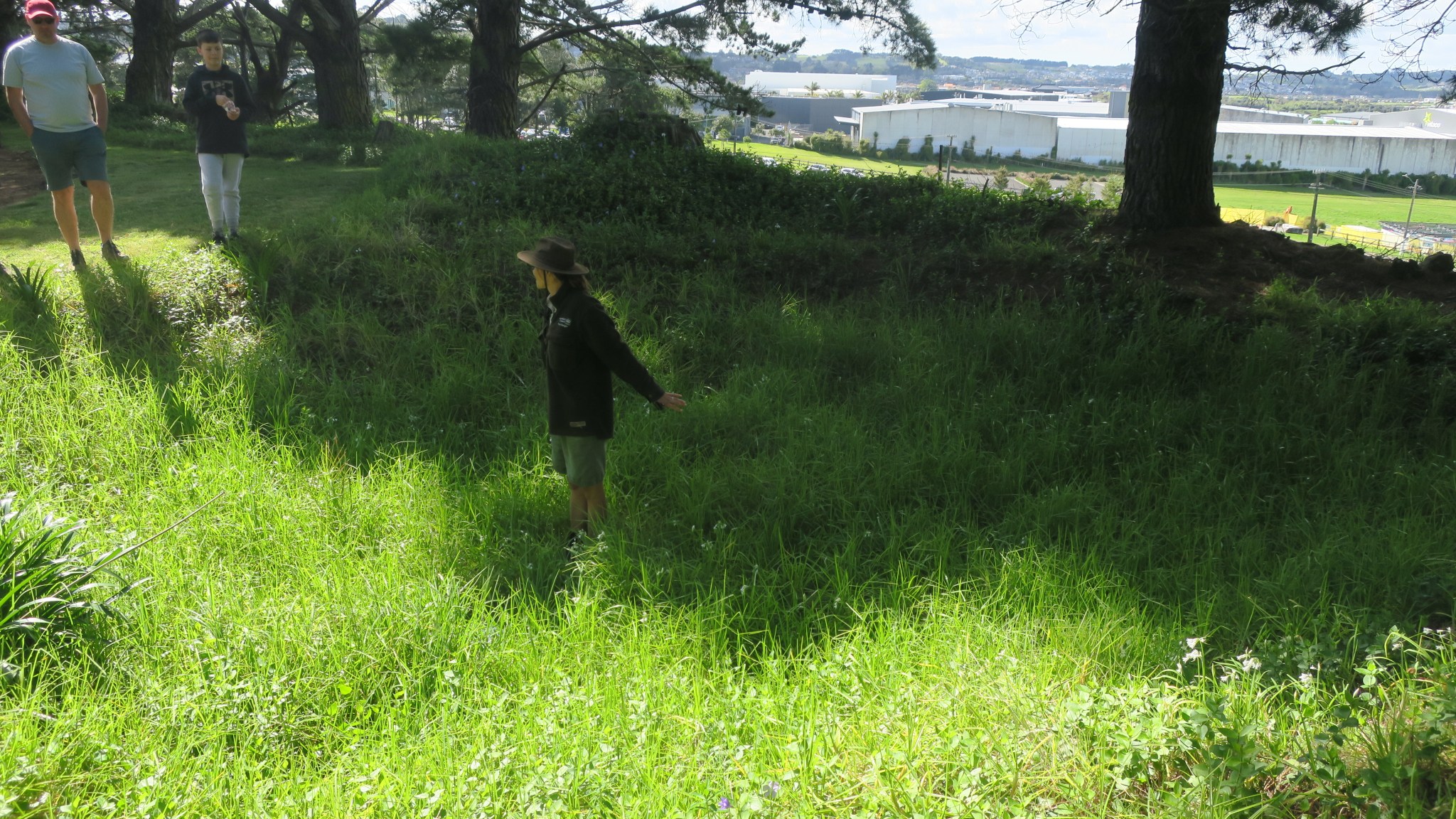 Auckland History | T M Rowe – Writer